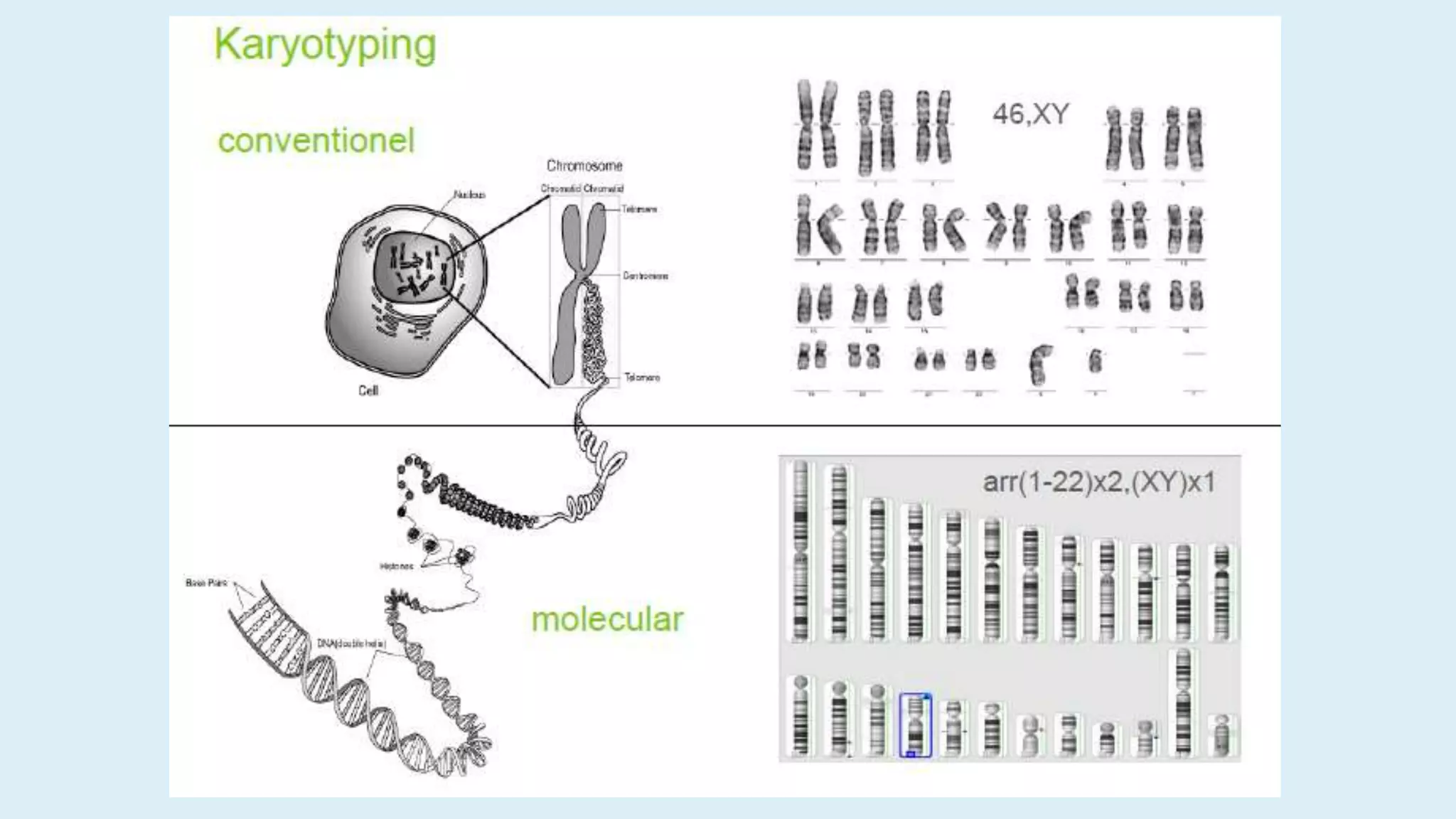 Genetic tests overview - Karyotype, FISH, MLPA, CMA, Sanger sequencing ...