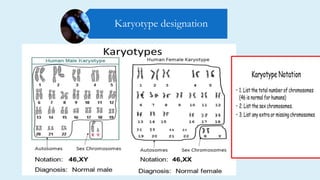 Genetic tests overview - Karyotype, FISH, MLPA, CMA, Sanger sequencing ...