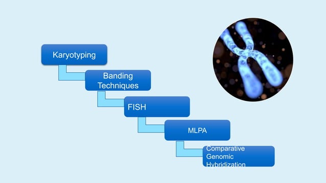 Genetic tests overview - Karyotype, FISH, MLPA, CMA, Sanger sequencing ...
