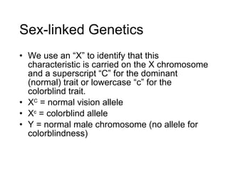 Genetic traits and sex in humans | PPT