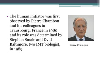 Genetic transcription | PPT