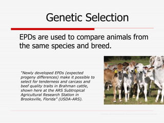 Genetic Transfer of gene slide shared ppt | PPT