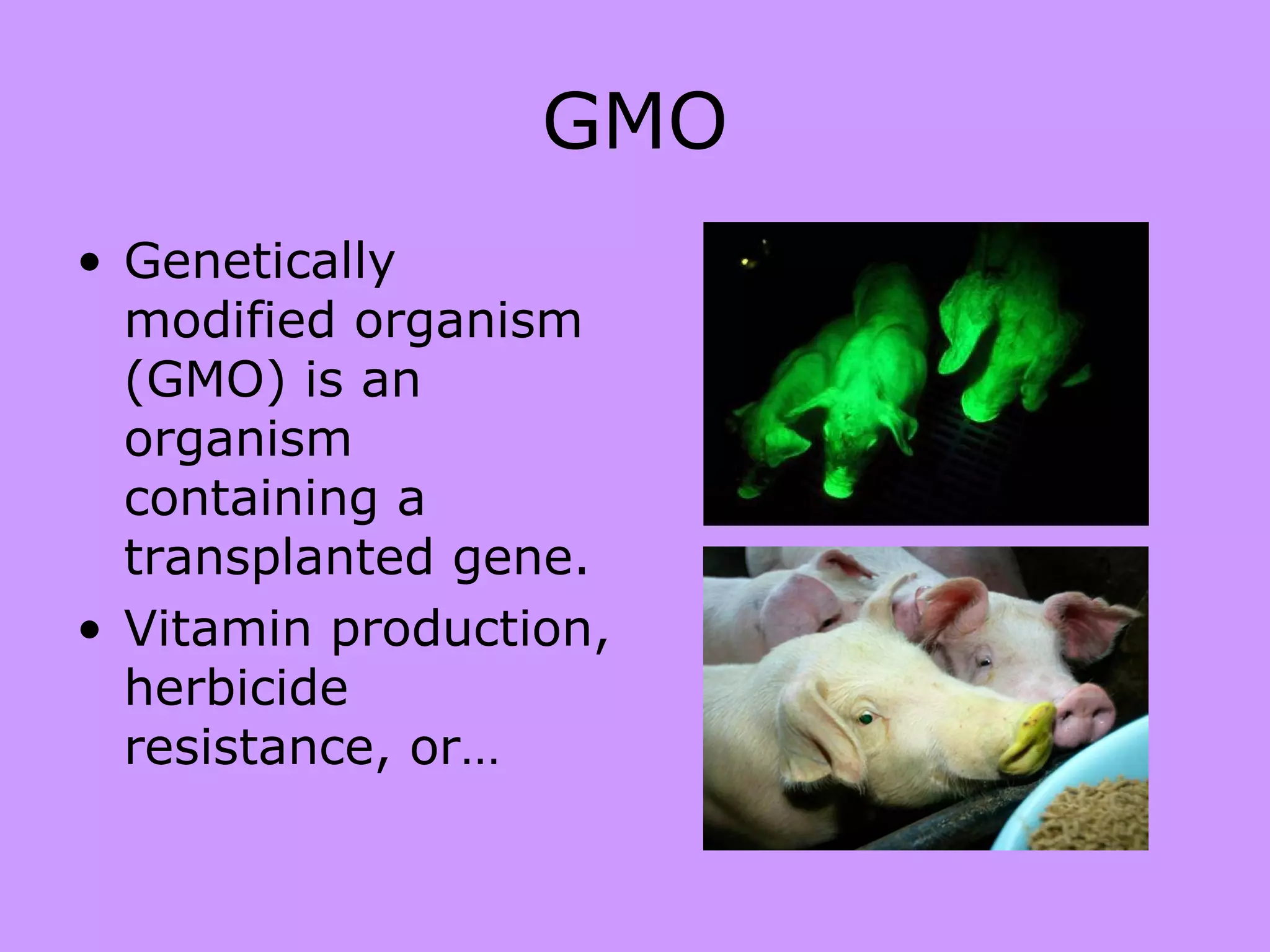 Genetic transformation | PPT