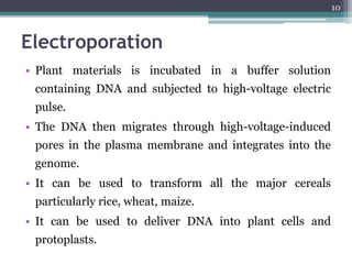 Genetic transformation | PPTX