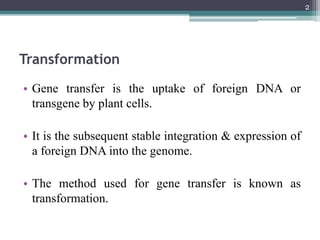 Genetic transformation | PPTX