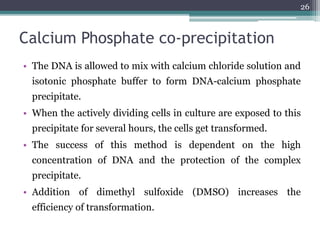 Genetic transformation | PPTX