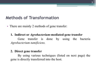 Genetic transformation | PPTX