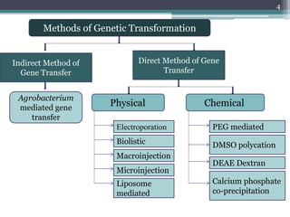 Genetic transformation | PPTX