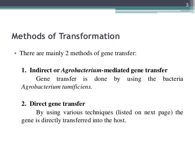 Genetic transformation