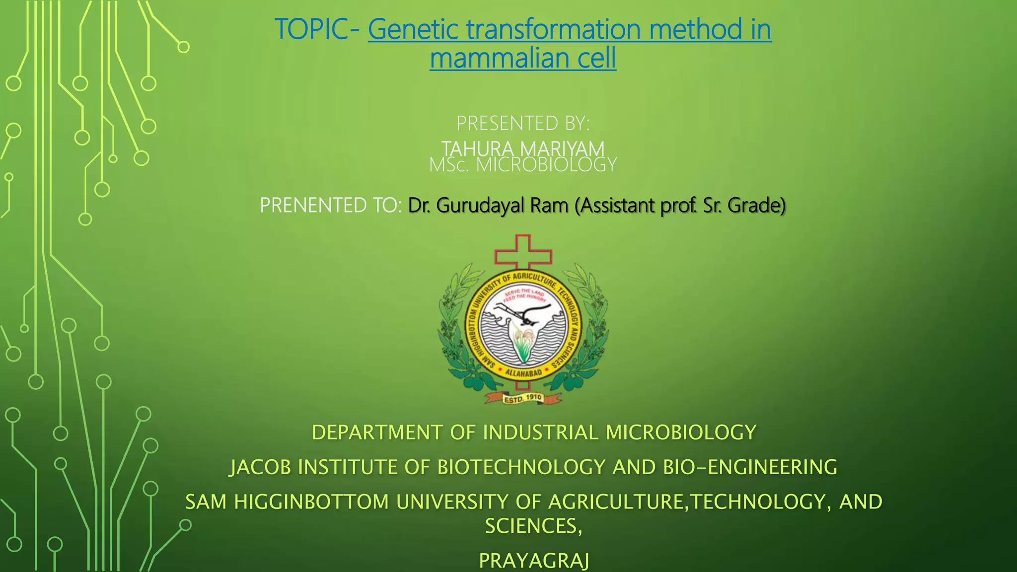 Genetic transformation method in mammals cell by NIDHI MISHRA and tahura mariyam ansari | PPTX