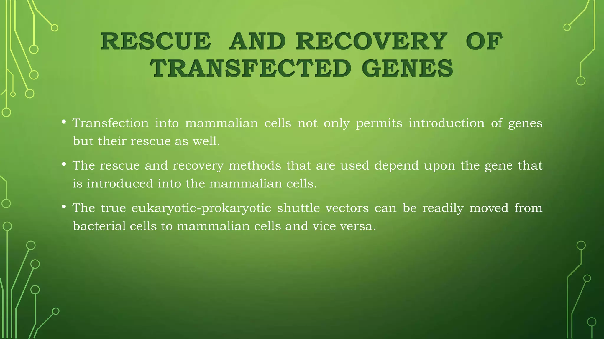 Genetic transformation method in mammals cell by NIDHI MISHRA and ...