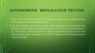 Genetic transformation method in mammals cell by NIDHI MISHRA and ...