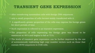Genetic transformation method in mammals cell by NIDHI MISHRA and ...