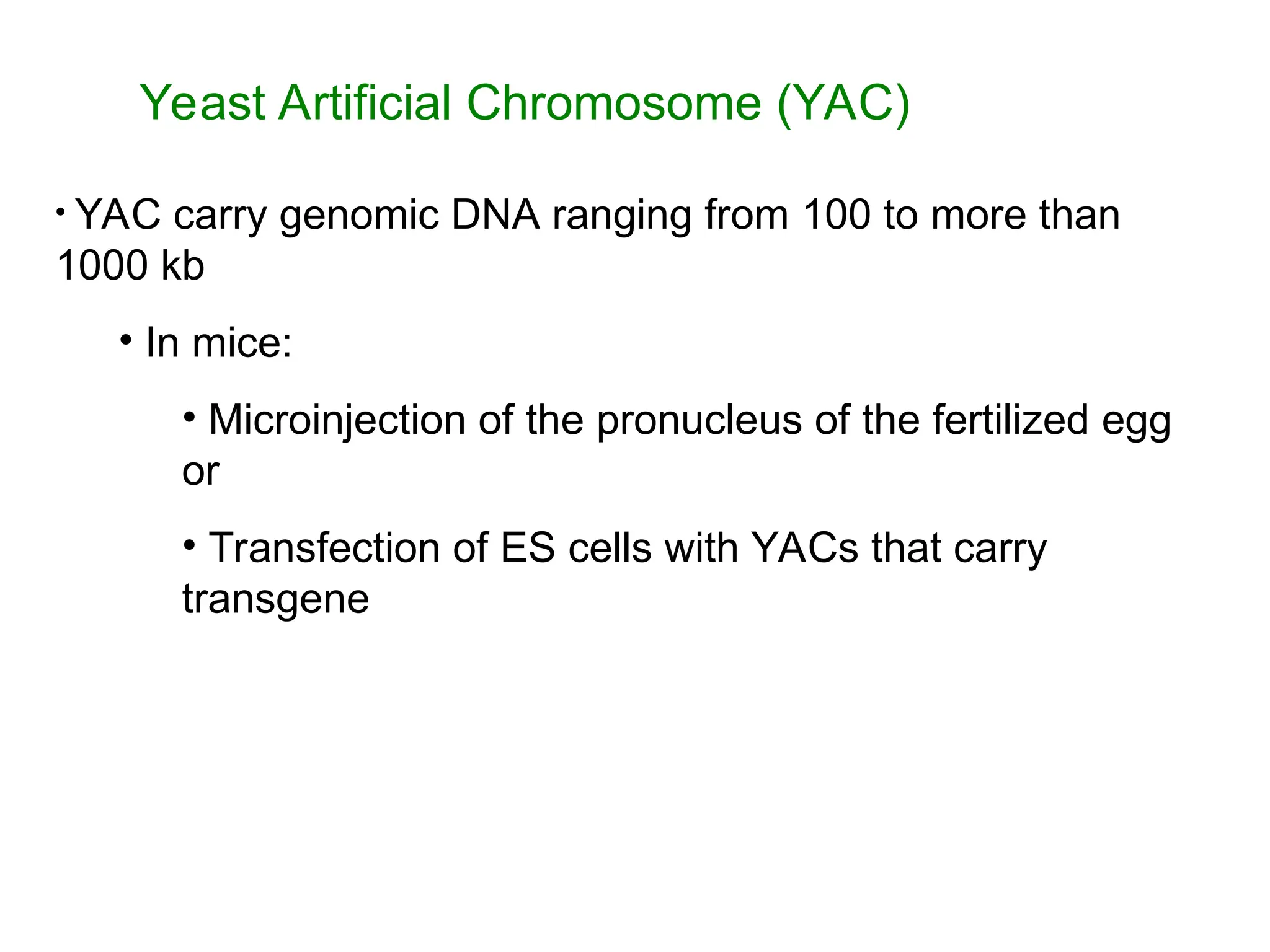 Genetic Transformation of Animals ppt.ppt