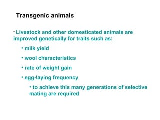 Genetic Transformation of Animals ppt.ppt