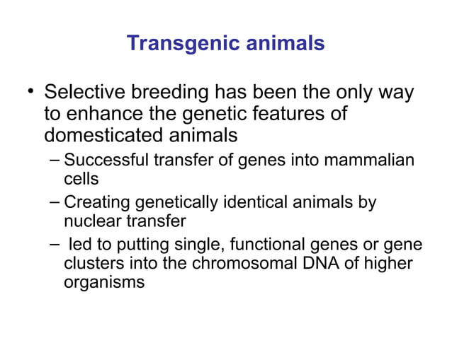 Genetic Transformation of Animals ppt.ppt