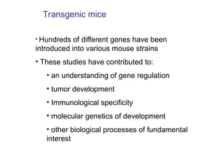 Genetic Transformation of Animals ppt.ppt