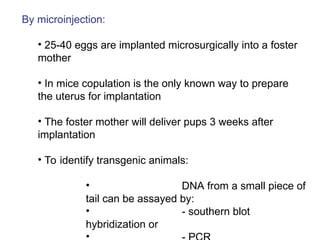 Genetic Transformation of Animals ppt.ppt