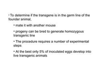 Genetic Transformation of Animals ppt.ppt