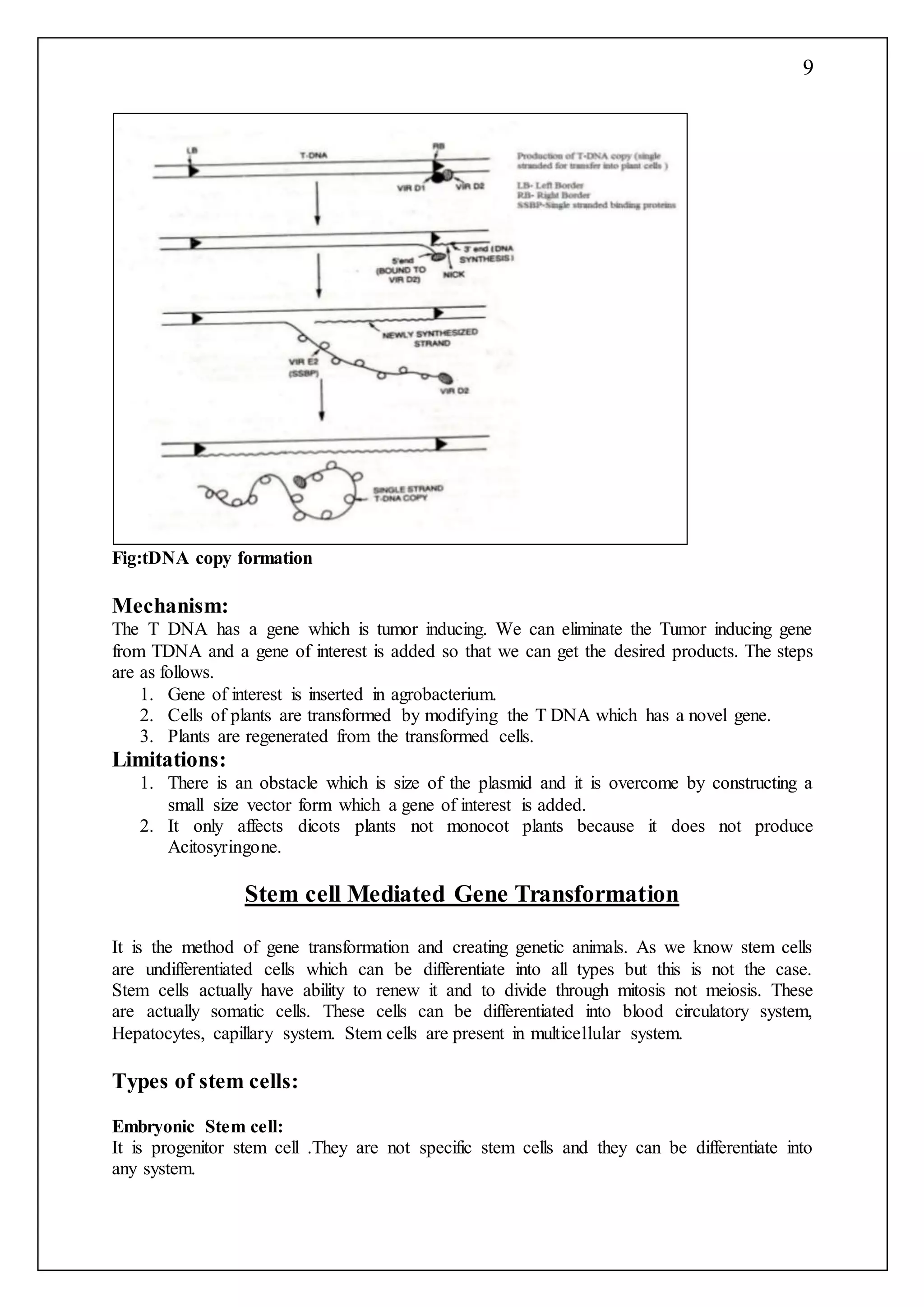 Genetic transformation system | DOCX