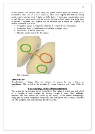Genetic transformation system | DOCX