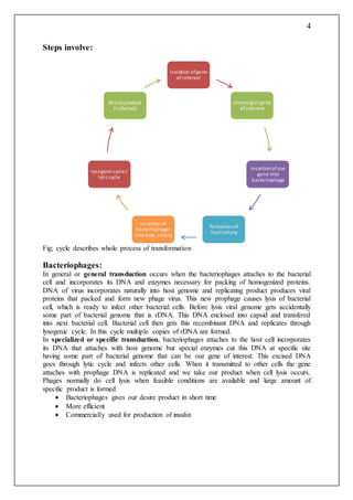 Genetic transformation system | DOCX