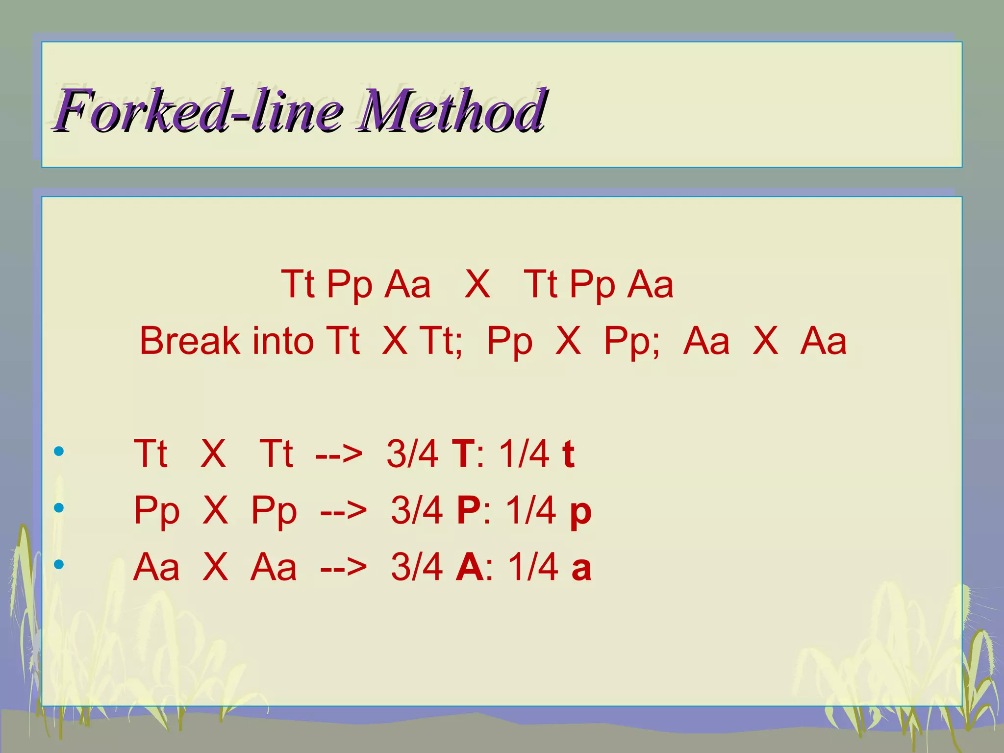 Genetic trihybrid cross | PPT