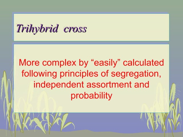 Genetic trihybrid cross | PPT | Genetics | Science