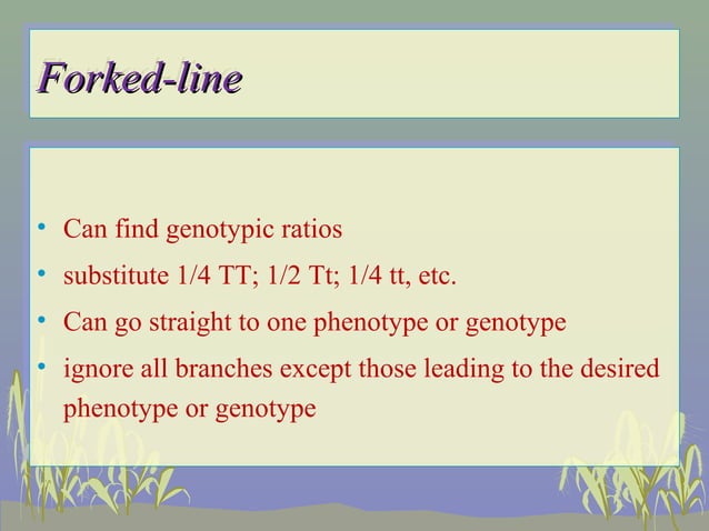 Genetic trihybrid cross | PPT | Genetics | Science