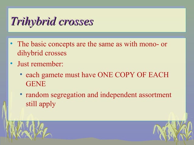 Genetic trihybrid cross | PPT | Genetics | Science