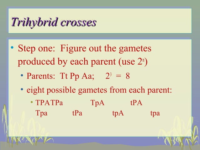 Genetic trihybrid cross | PPT | Genetics | Science