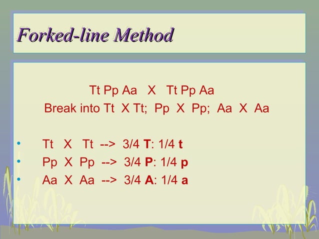 Genetic trihybrid cross | PPT | Genetics | Science