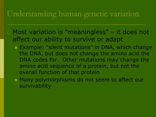 Genetic Variation Examples