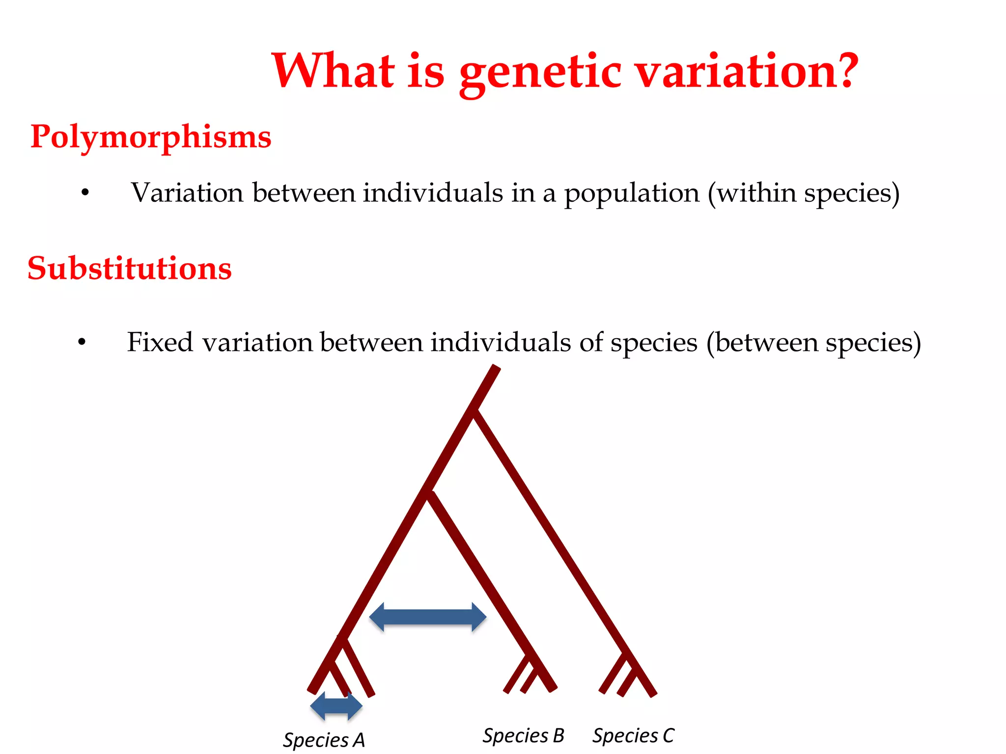 Genetic variation | PDF
