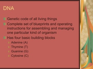 Genetic Variation.ppt