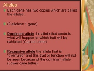 Genetic Variation.ppt