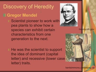 Genetic Variation.ppt