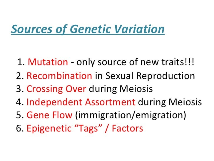 Genetic Variation Definition Examples And Sources