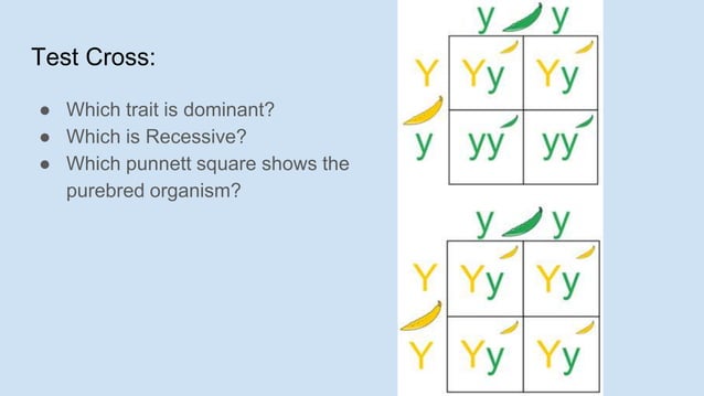 Genetic Variation and Change.pptx