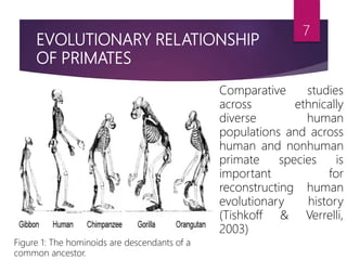 Genetic variation and evolution and their importance to medicine | PPTX