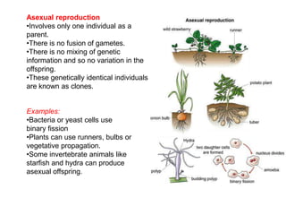 Genetic Variation In Plants