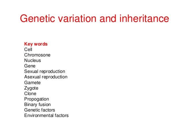 Genetic variation and inheritance