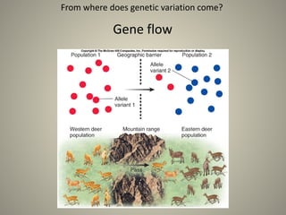Genetic variation and its role in health pharmacology | PDF