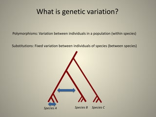 Genetic Variation