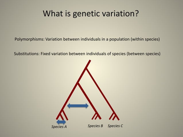 Genetic variation and its role in health pharmacology | PPT