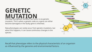 Genetic Variation Education Presentation in Green Beige Style.pptx