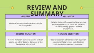 Genetic Variation Education Presentation in Green Beige Style.pptx