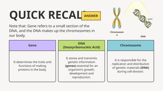 Genetic Variation Education Presentation in Green Beige Style.pptx