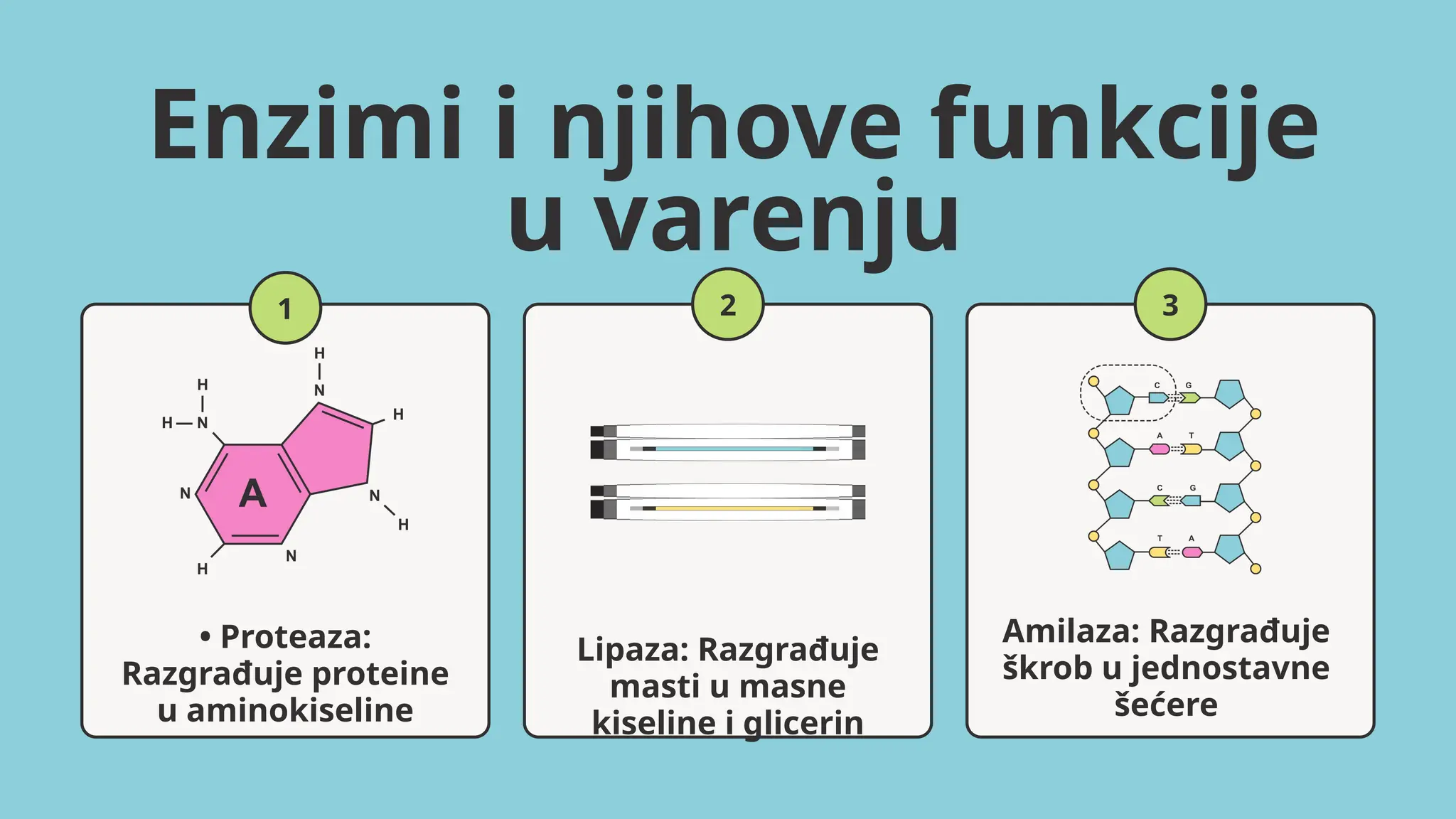 Genetic Variation Education Presentation in Green Beige Style.pptx
