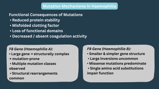 Comprehensive Insights into Haemophilia: Genetics, Mutations, and ...
